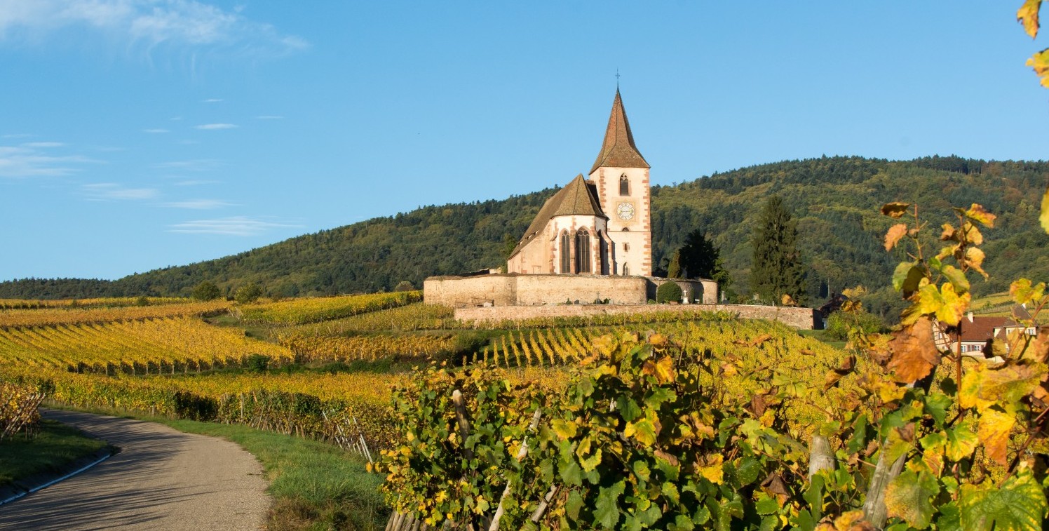 Alsace Wine Saver from £309pp – Wine Tasting France